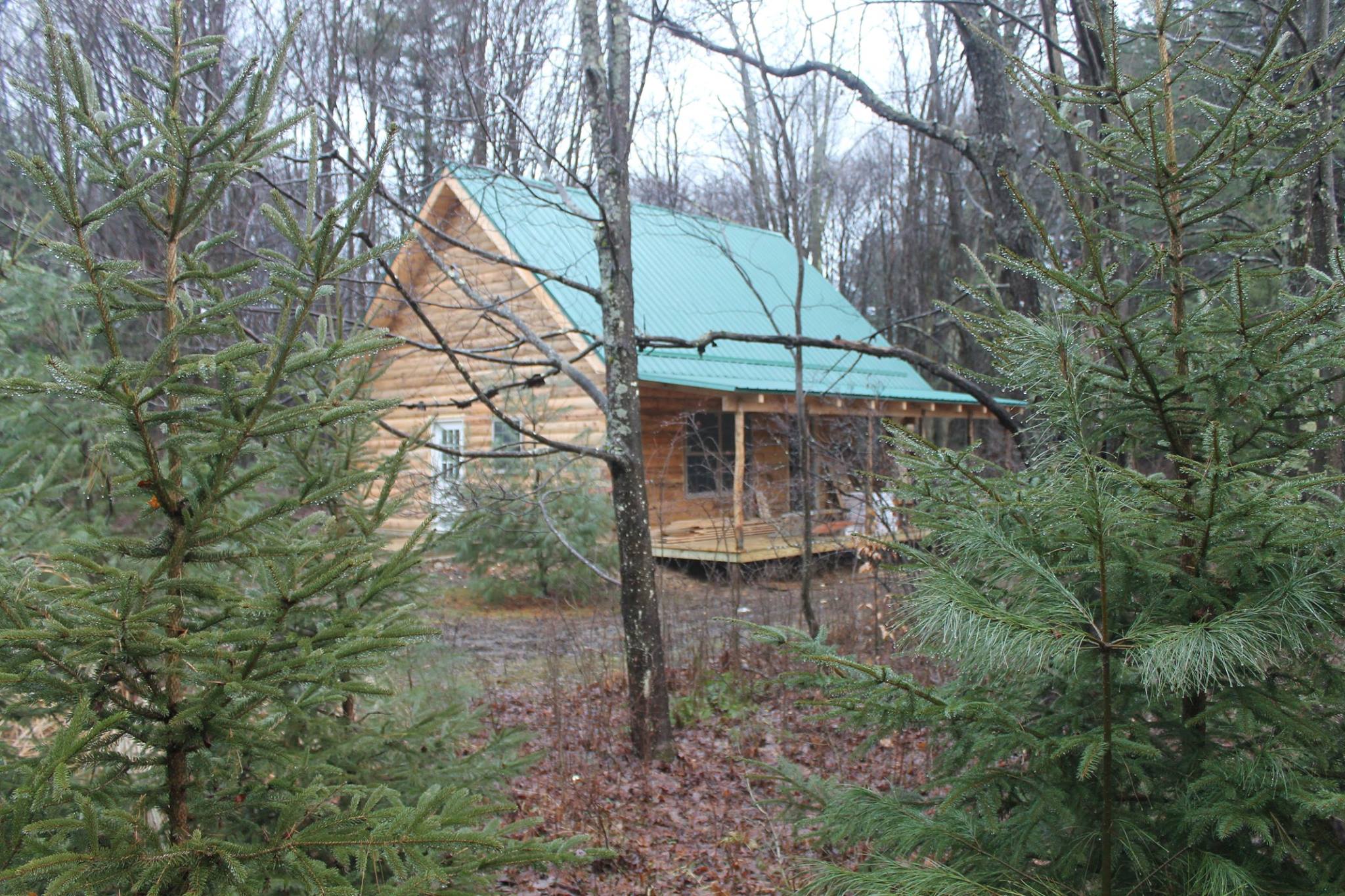 Cabins at Cook Forest – Friendly Bear Log Cabin ext trees | Visit PA ...