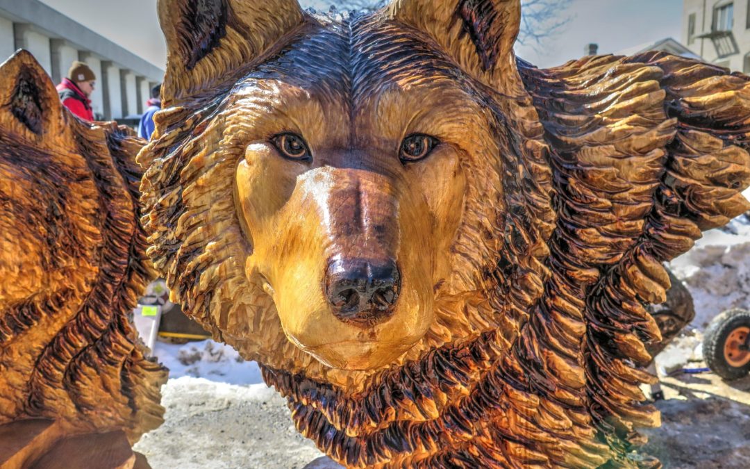 Chainsaw Rendezvous 2015 – wolf – Jim Hoover | Visit PA Great Outdoors