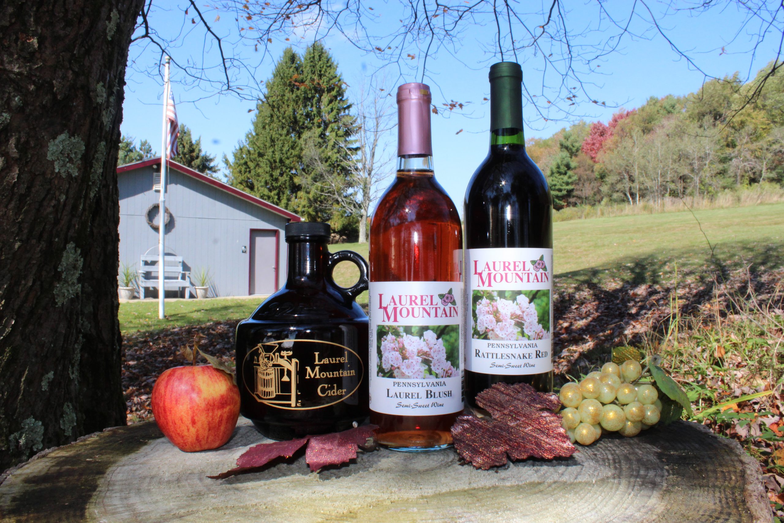 Cider Pic for ad | Visit PA Great Outdoors