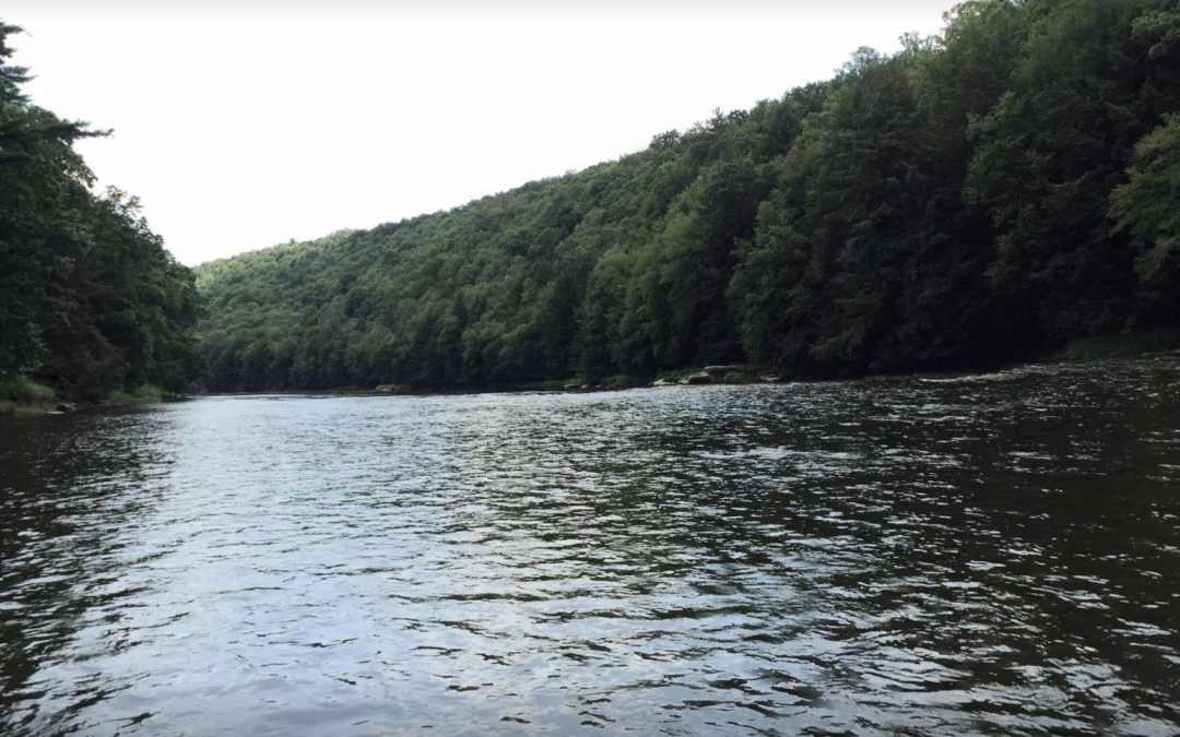 Clarion River Cook Forest – Pale Whale | Visit PA Great Outdoors