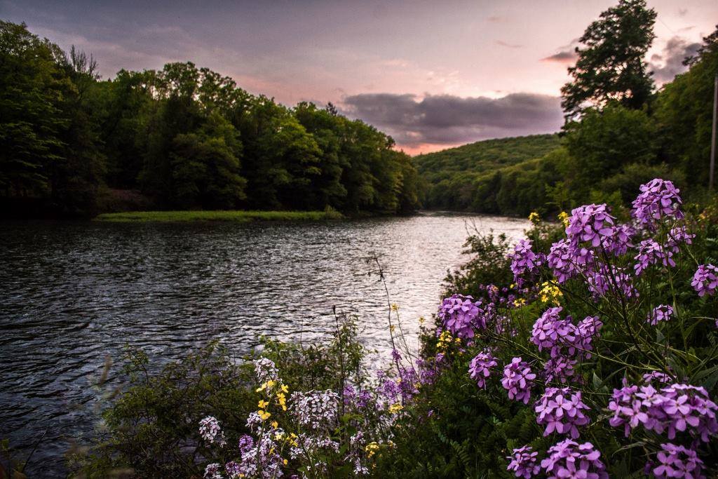 Cook Forest State Park | Visit PA Great Outdoors