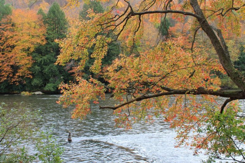 Clarion River Water Trail | Visit PA Great Outdoors