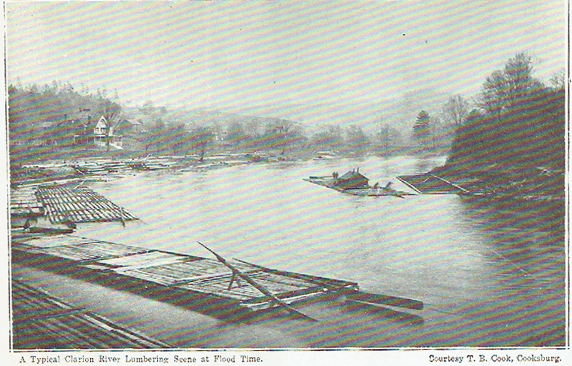 True Tales of the Clarion River: Double Check the Kingfish | Visit PA ...