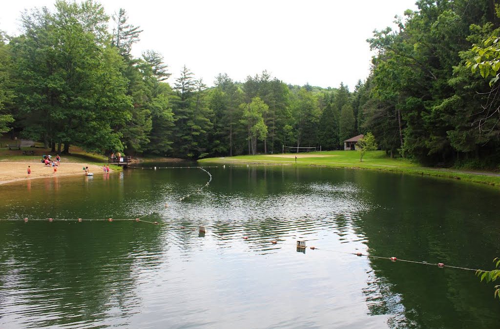 Clear-Creek-SP-Beach-2-John-Plate-002 | Visit PA Great Outdoors