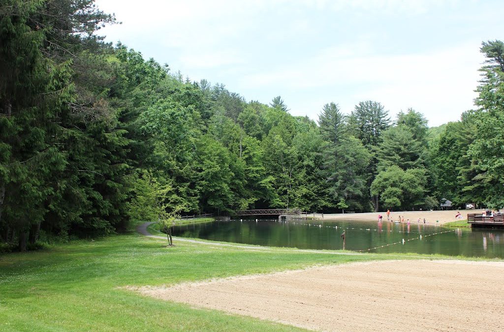 Clear Creek SP Beach John Plate | Visit PA Great Outdoors