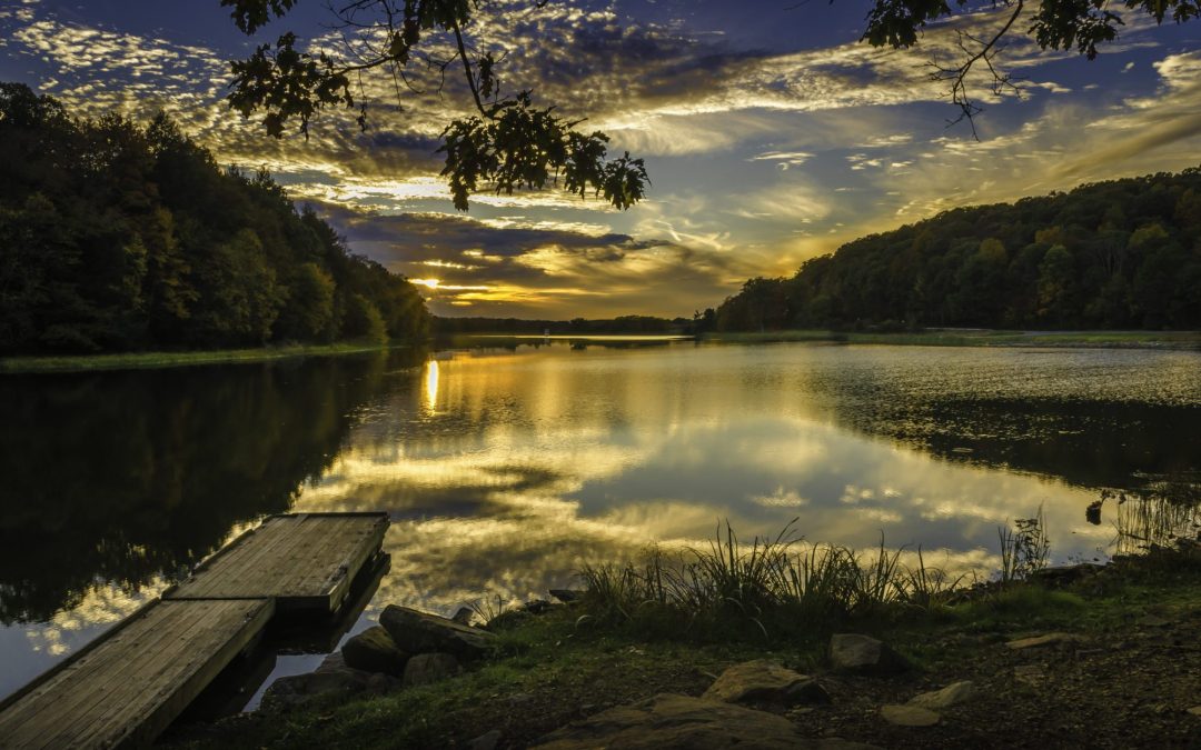 Cloe Lake – Jeff London (3) | Visit PA Great Outdoors