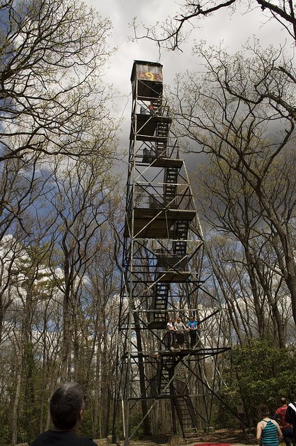 Cook Forest Fire Tower | Visit PA Great Outdoors