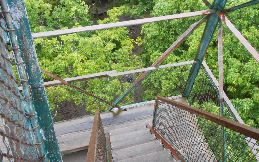 Cook Forest Firetower view | Visit PA Great Outdoors