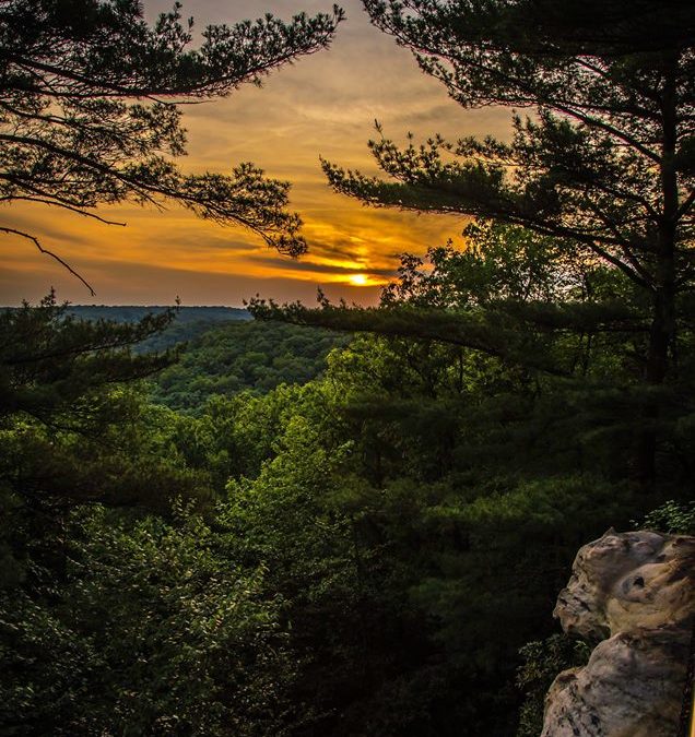 10 Free Things to do in Cook Forest | Visit PA Great Outdoors