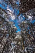 Forest County, PA - Visit PA GO | Visit PA Great Outdoors