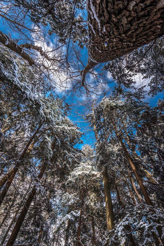 Forest County, PA - Visit PA GO | Visit PA Great Outdoors