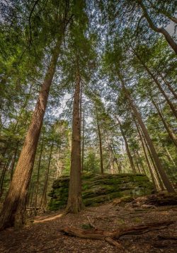 Free Things To Do - PA | Visit PA Great Outdoors