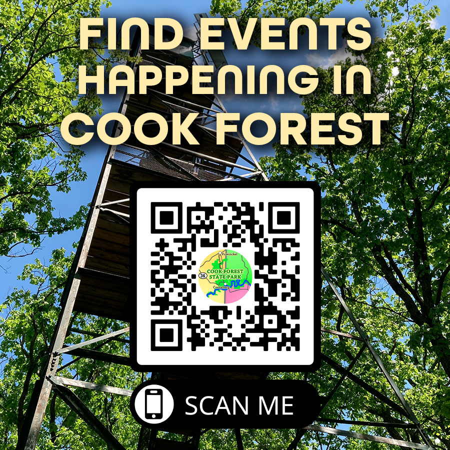Cook Forest, PA - Cook Forest County, PA | Visit PA Great Outdoors