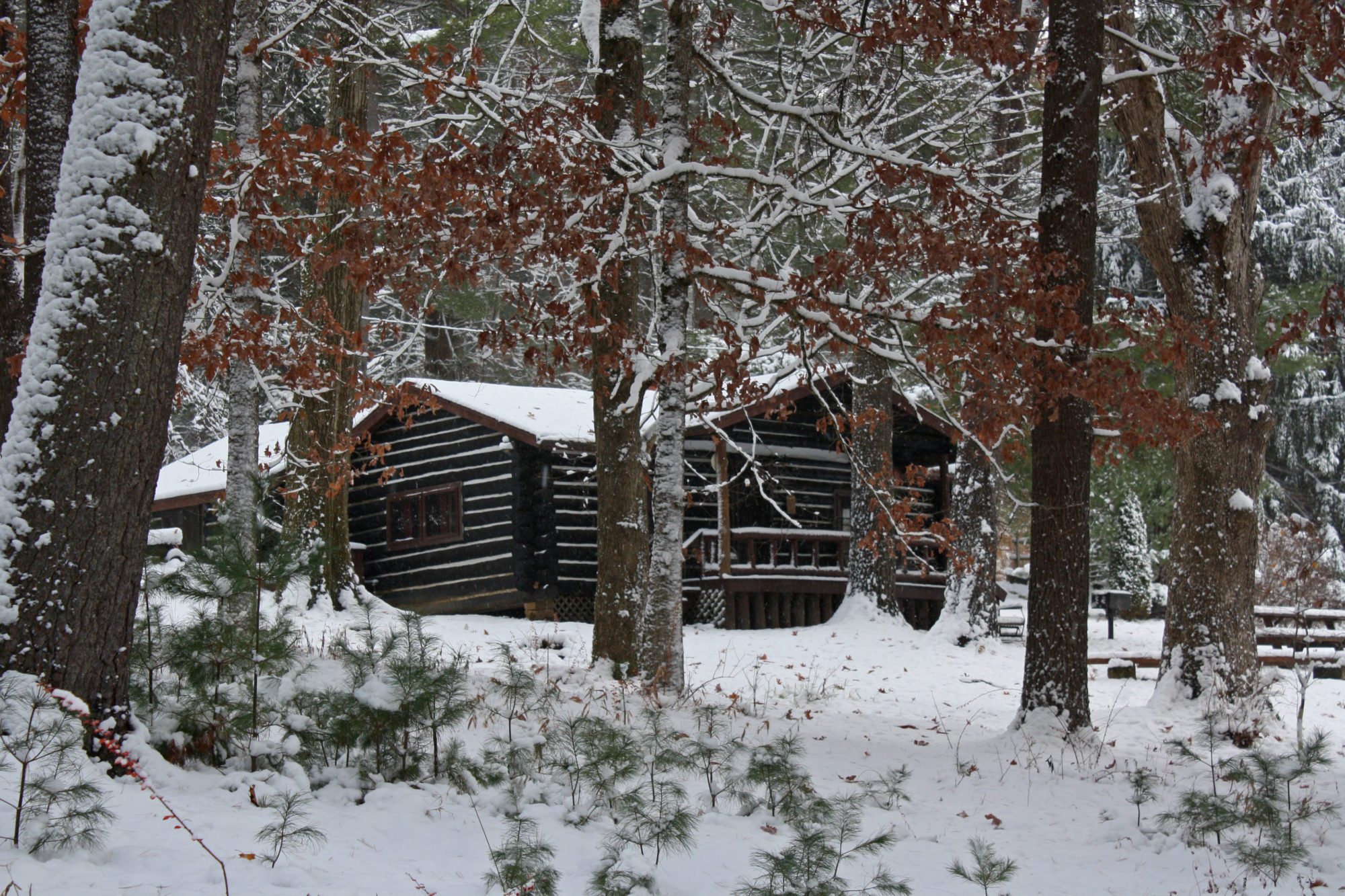 Cook Riverside Cabin 9 snow winter | Visit PA Great Outdoors