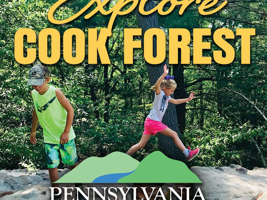 Explore Cook Forest State Park | Visit PA Great Outdoors