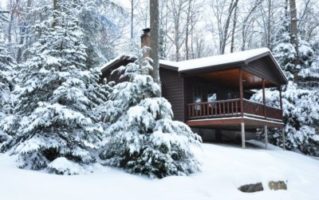 Cook_Forest_cabin | Visit PA Great Outdoors