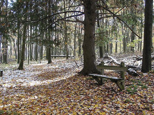 Cornplanter State Forest | Visit PA Great Outdoors