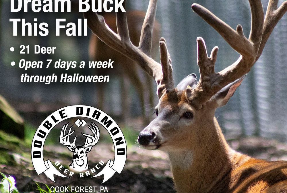 Double-Diamond-Deer-Ranch-Display-Ad-300×300-FIXED | Visit PA Great ...