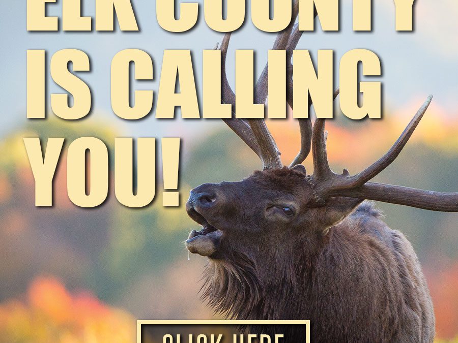 Elk-County_2021 | Visit PA Great Outdoors