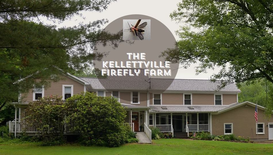 Kellettville Firefly Farm | Visit PA Great Outdoors
