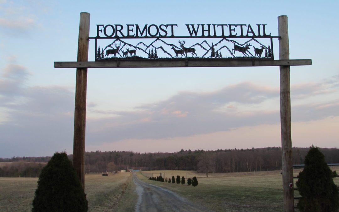 Foremost Whitetail – Sign | Visit PA Great Outdoors