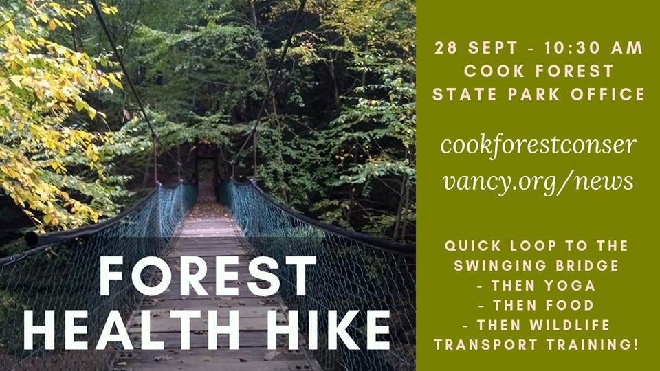 Forest Heath Hike | Visit PA Great Outdoors