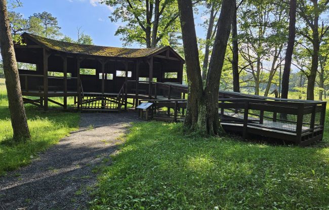Elk Viewing - Elk County, PA | Visit PA Great Outdoors