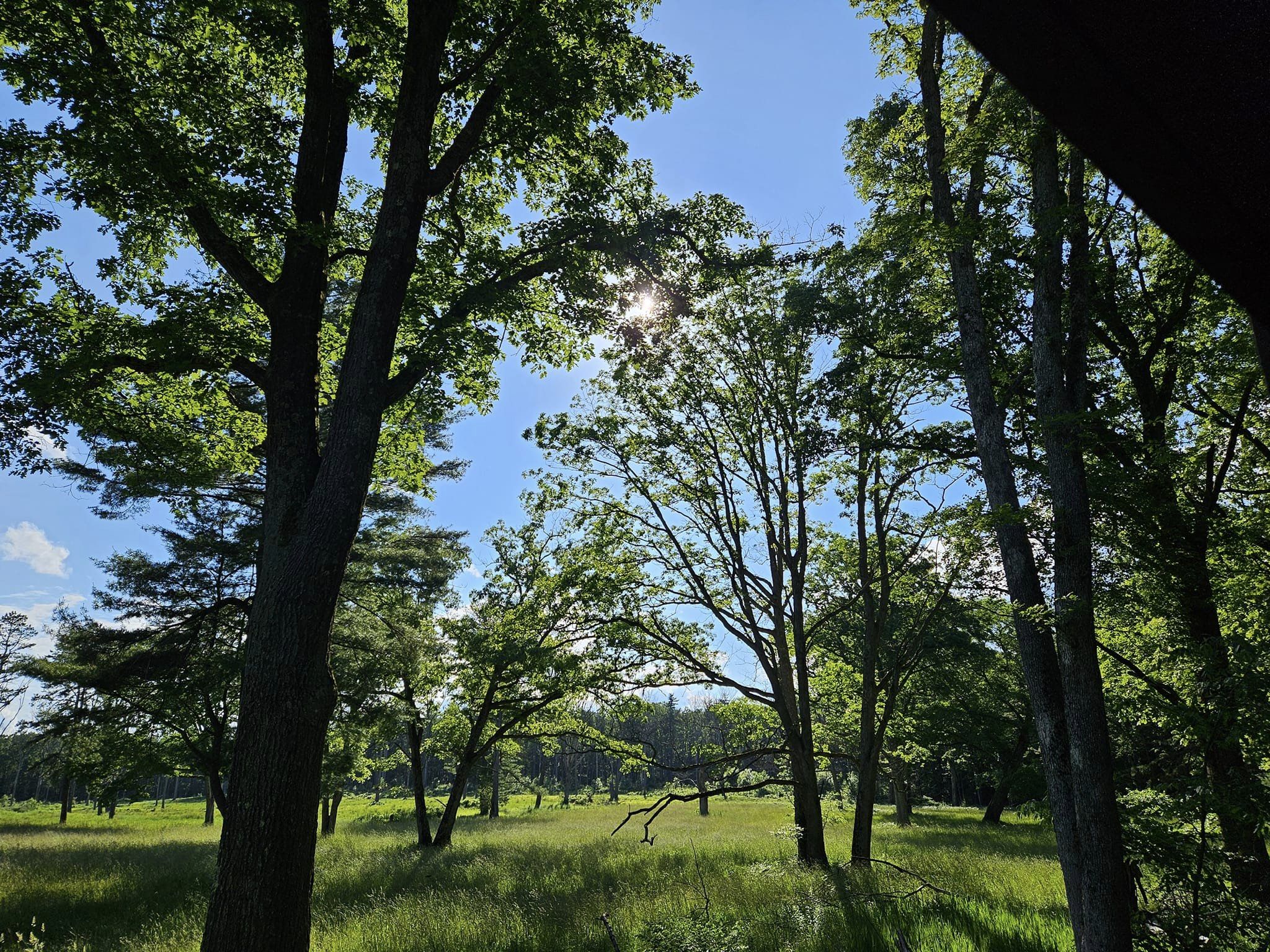 Hoover Farm Elk Viewing Area Field-1 | Visit PA Great Outdoors
