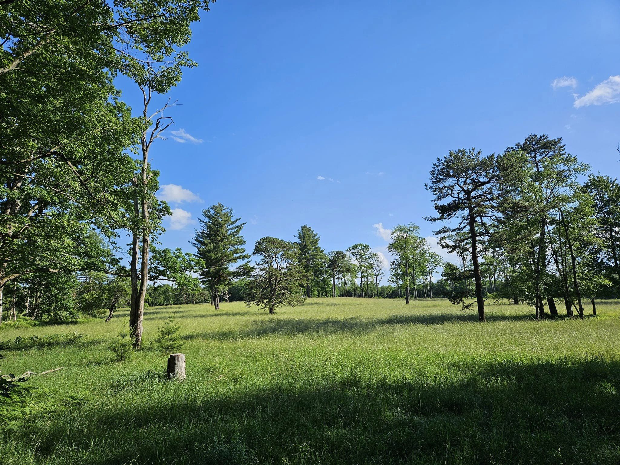 Hoover Farm Elk Viewing Area Field-2 | Visit PA Great Outdoors