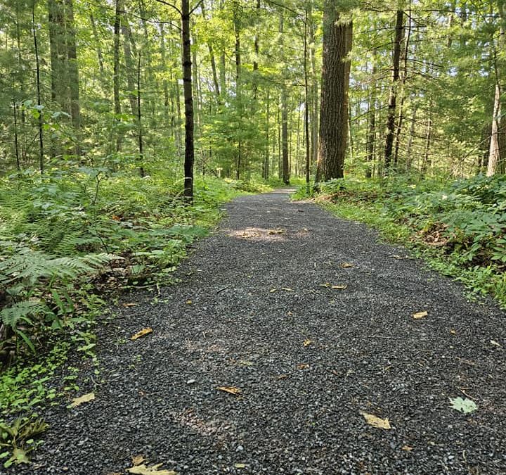 Hoover Farm Elk Viewing Area trail | Visit PA Great Outdoors