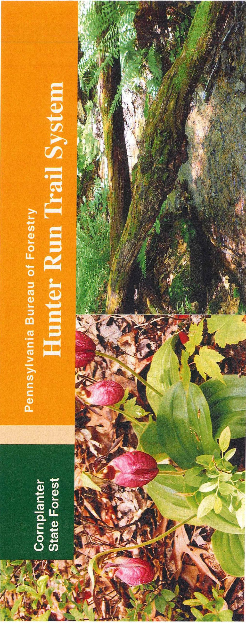 Free Information - Visit PA GO | Visit PA Great Outdoors