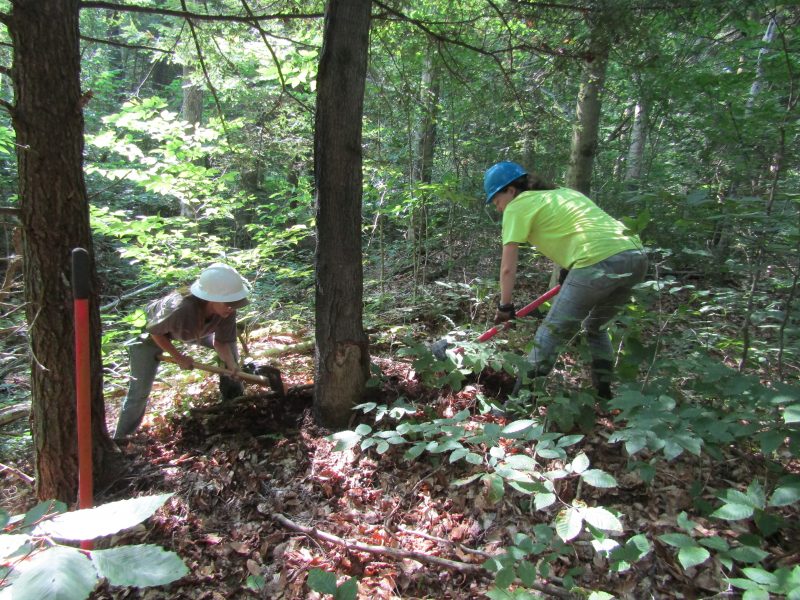 Allegheny National Forest Stream Reclamation Project | Visit PA Great ...