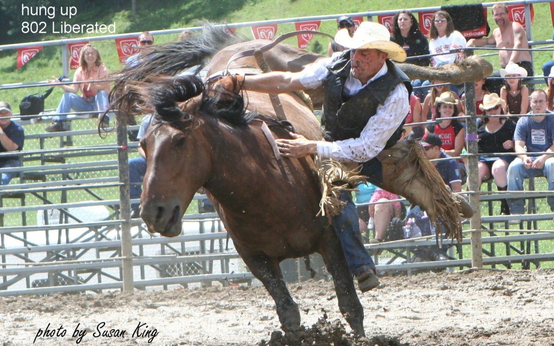 Flying W Ranch Rodeo 2 | Visit PA Great Outdoors