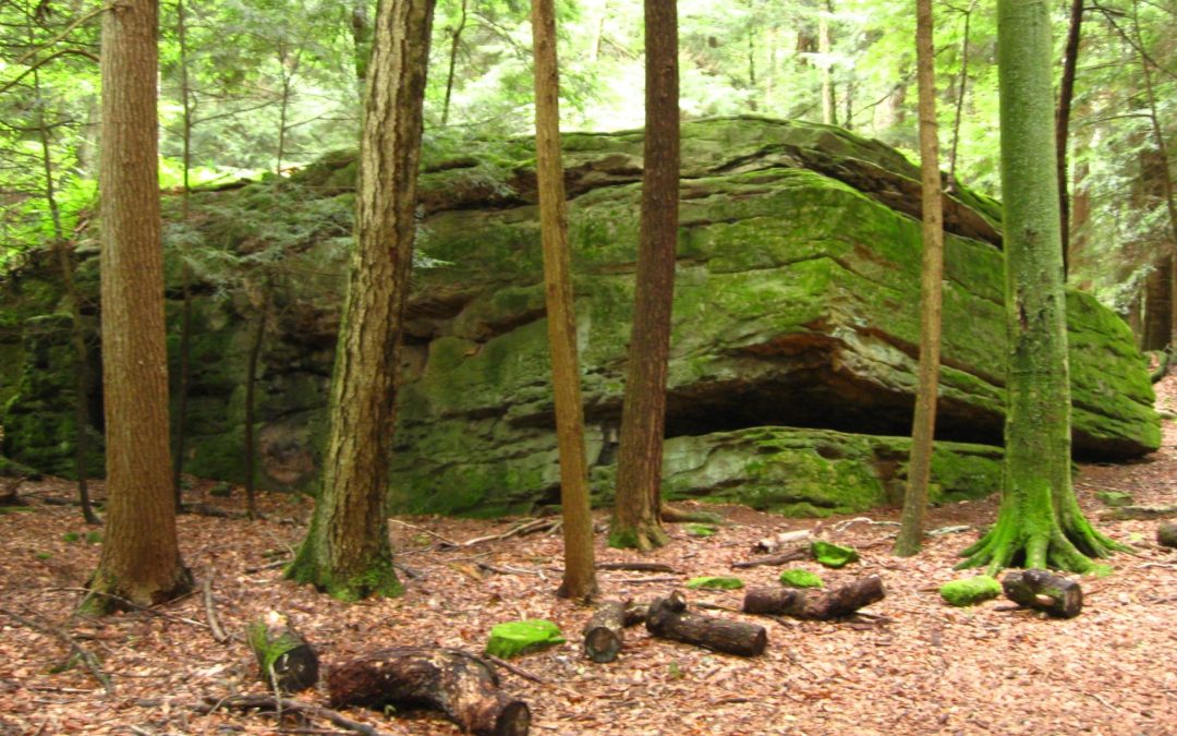 Indian Trail Cook Forest rock – Lisa Meadville | Visit PA Great Outdoors