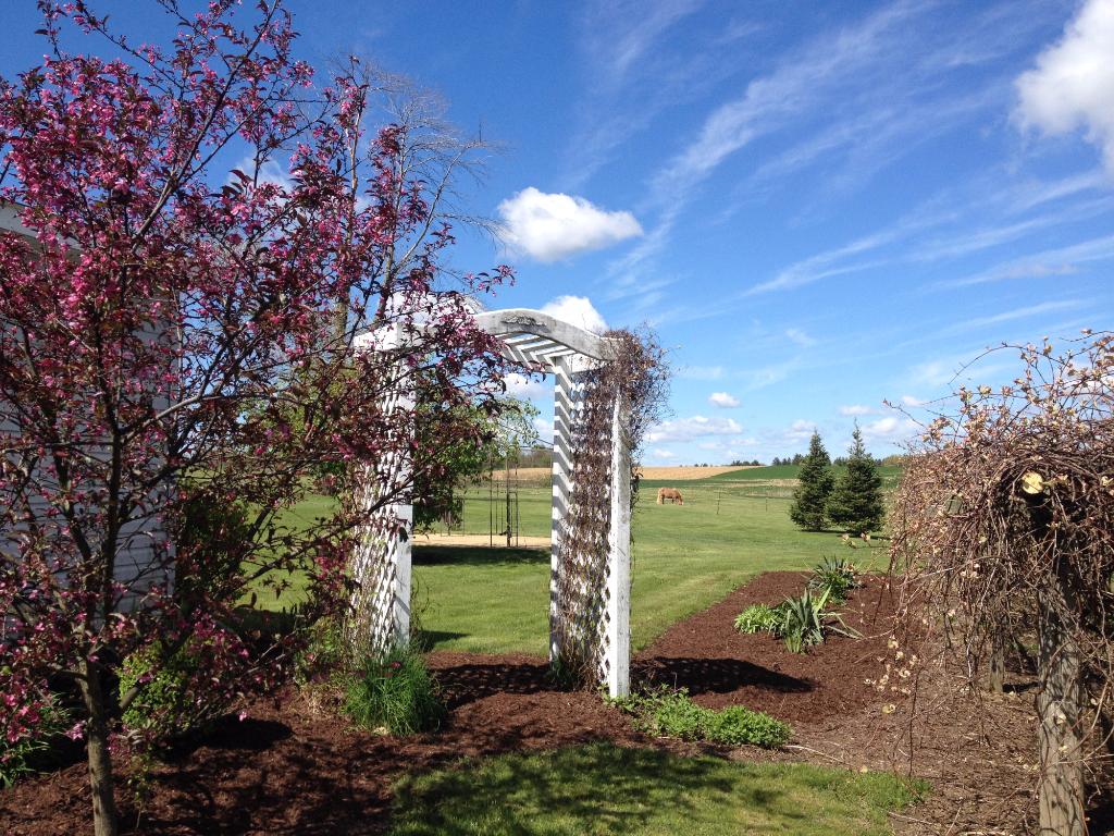 Jackson Run B&B Punxsutawney – Back entrance | Visit PA Great Outdoors