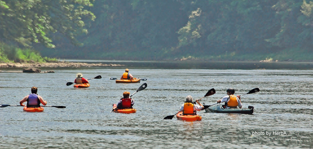 Kayak group Cook Forest – HerbA | Visit PA Great Outdoors