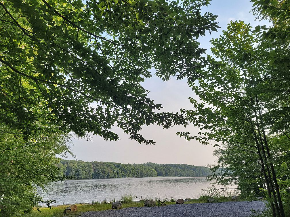 Kyle Lake Fishing Access 3 resized | Visit PA Great Outdoors