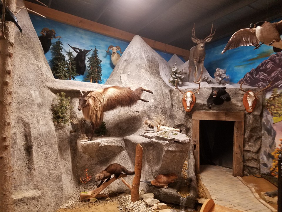 Long Shot Ammo and Arms Swift Safariland-1 | Visit PA Great Outdoors