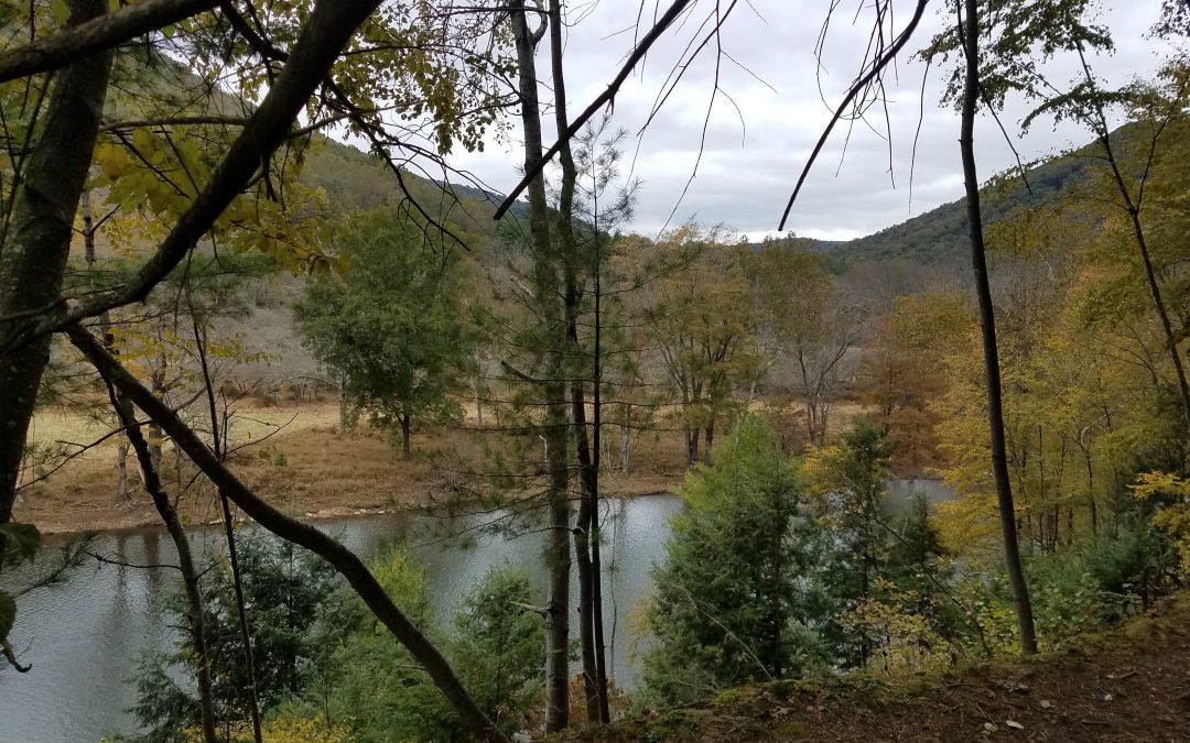Miller Run Wildlife Viewing Area overlook of creek | Visit PA Great ...