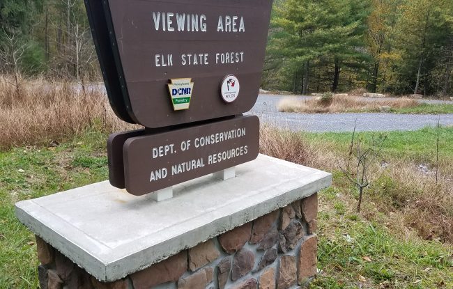 Elk Viewing - Elk County, PA | Visit PA Great Outdoors