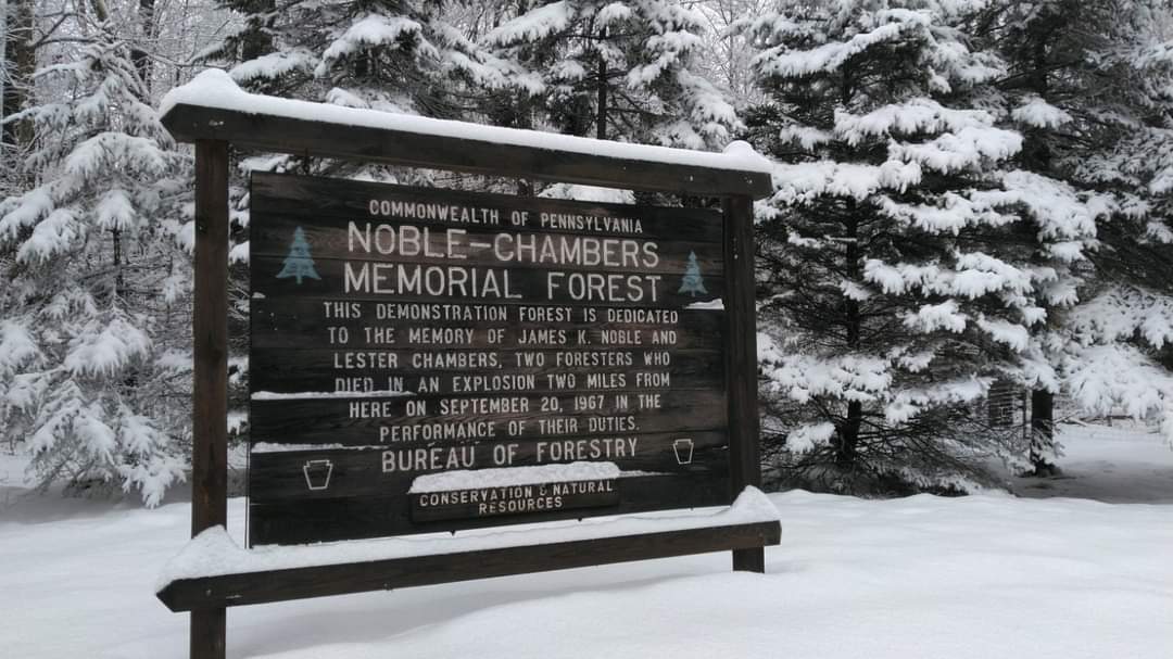 Noble-Chambers Memorial Forest | Visit PA Great Outdoors