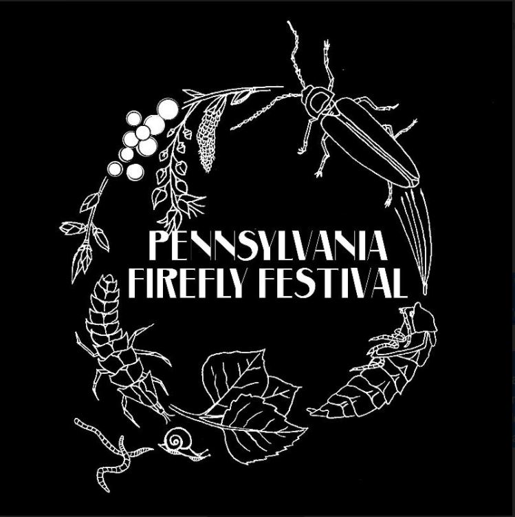 Pennsylvania Firefly Festival | Visit PA Great Outdoors