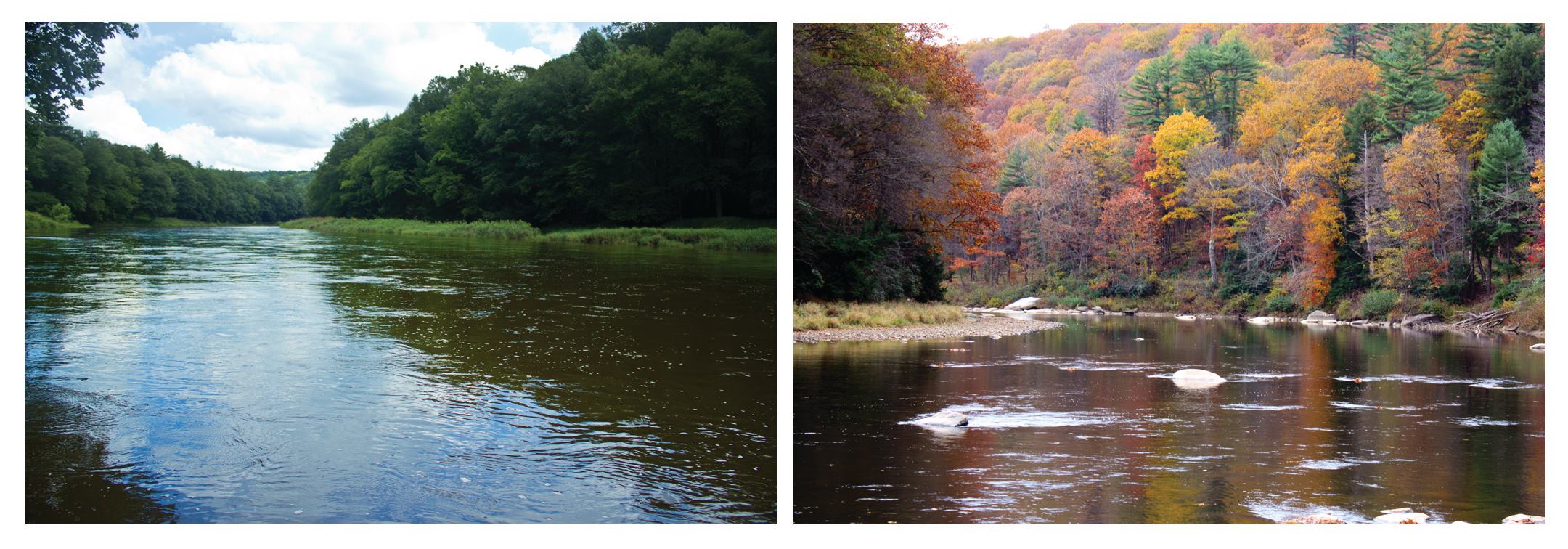 Pine Run Rentals | Visit PA Great Outdoors
