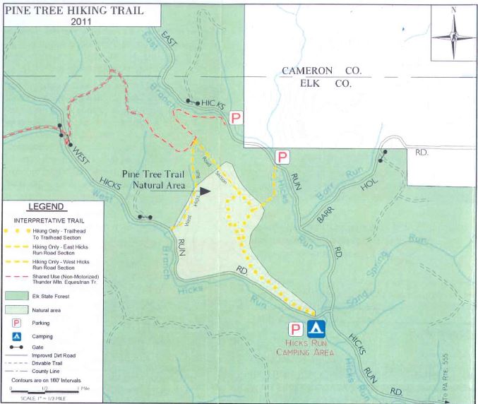 Pine Tree Natural Area | Visit PA Great Outdoors