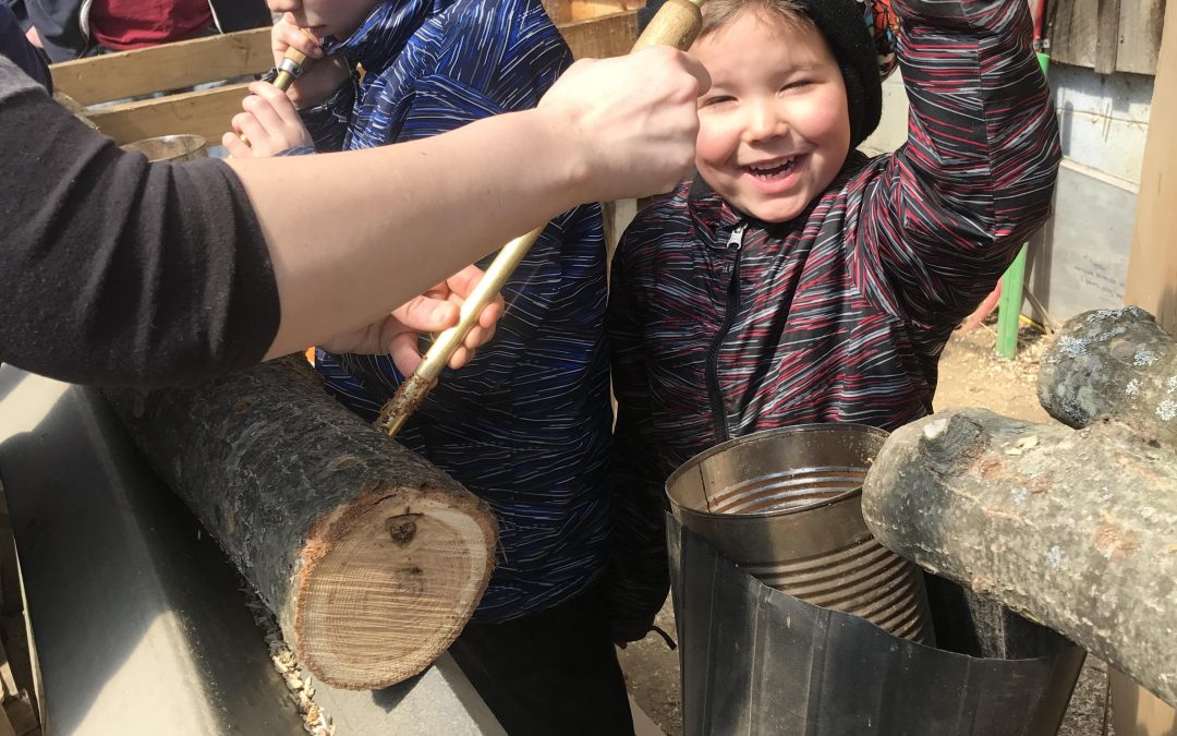 Quiet Creek mushroom kid – Danielle Taylor | Visit PA Great Outdoors