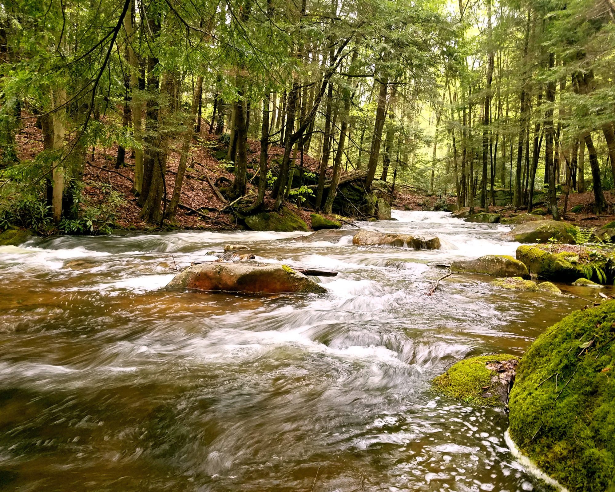 RedRun050617-JoshuaStuartBuckley | Visit PA Great Outdoors