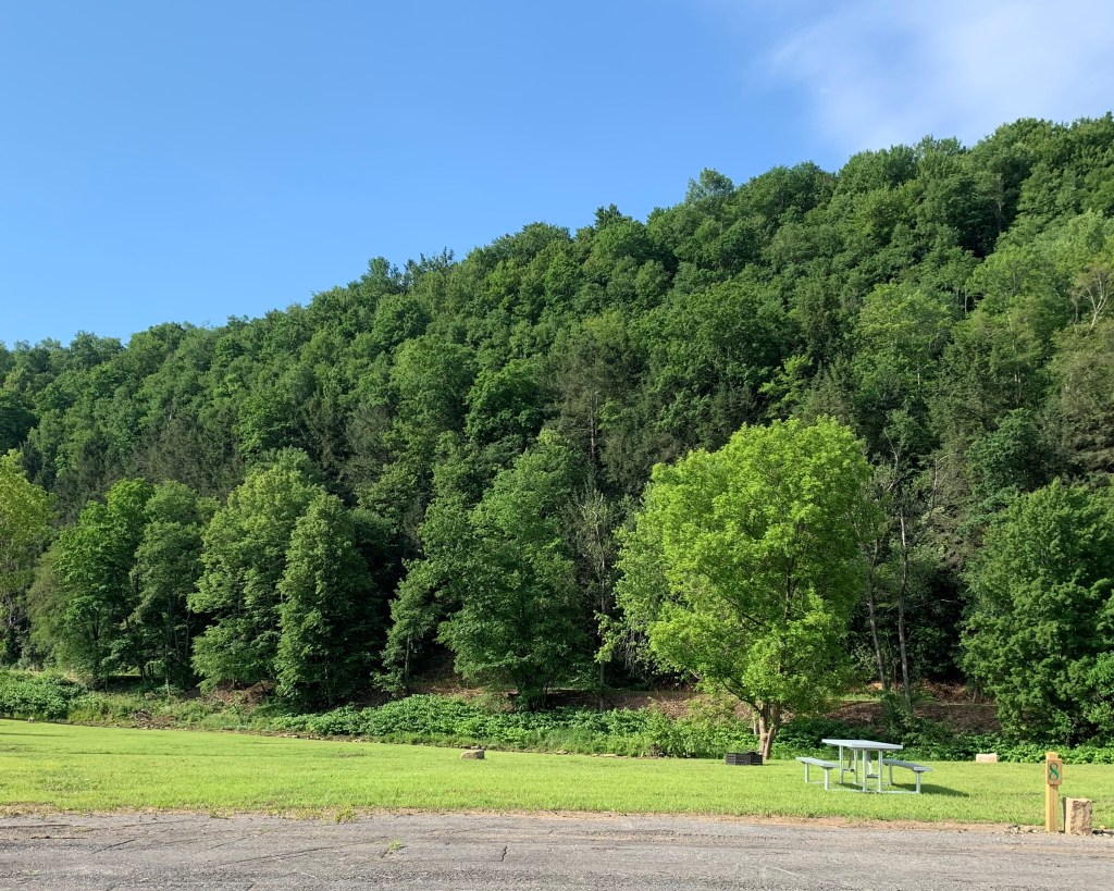 Ridgway Mills Campground site | Visit PA Great Outdoors