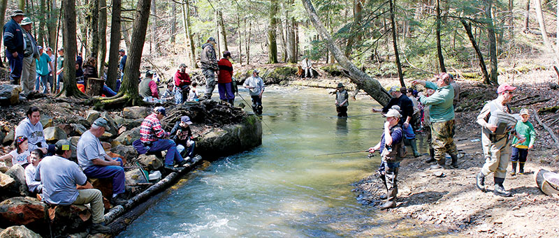 Ross Run Children/Special Needs Fishing Area | Visit PA Great Outdoors