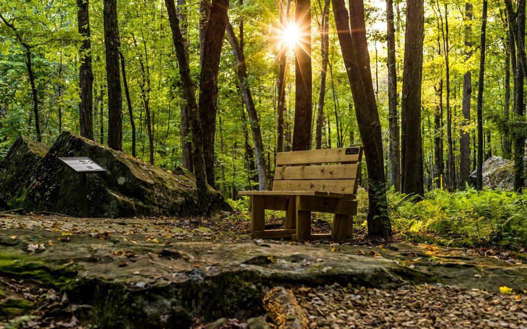 Scripture Rocks bench – Chris Lasher | Visit PA Great Outdoors