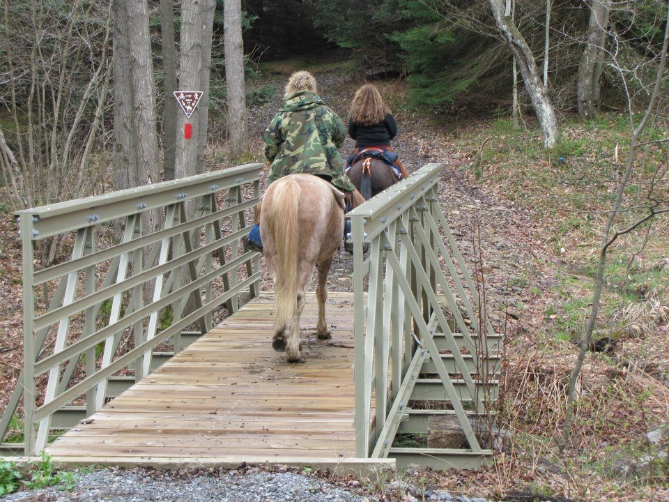 Thunder Mountain Equestrian Trail | Visit PA Great Outdoors